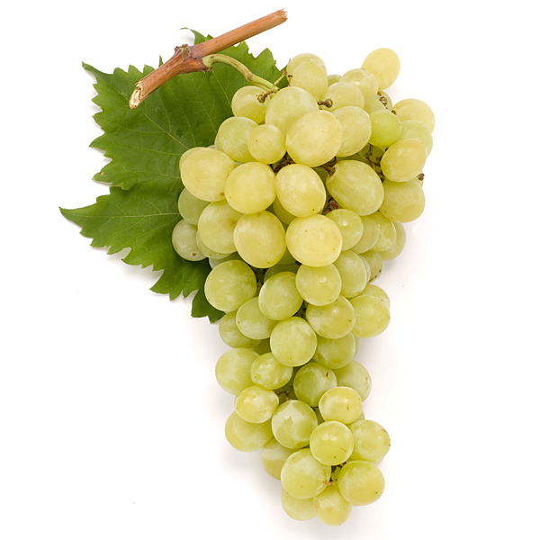 Vindruvor gröna
